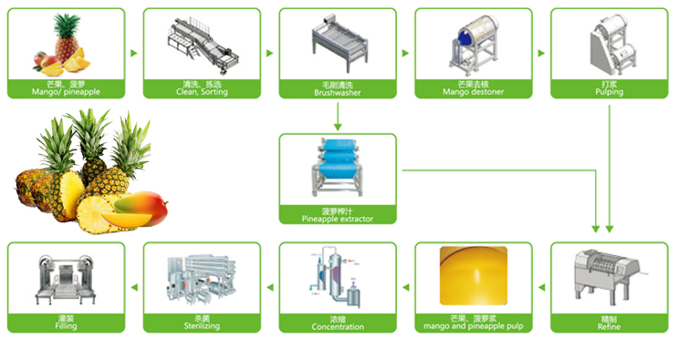 Mango/ Pineapple fruit processing line
